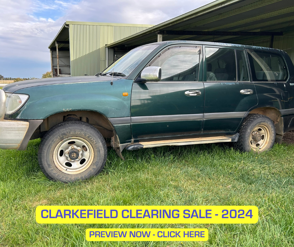 Steve Graham Auctioneer